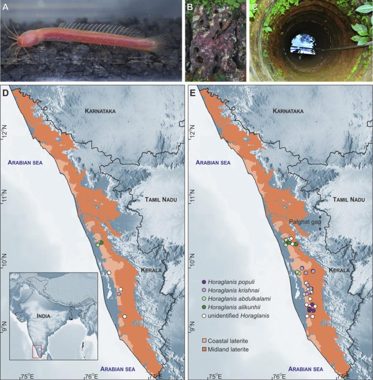 evolution-in-absolute - نظرية التطور - التطور بالعربية